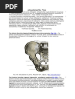 Understanding SIJ: Form and Force Closure | PDF | Pelvis | Vertebral Column