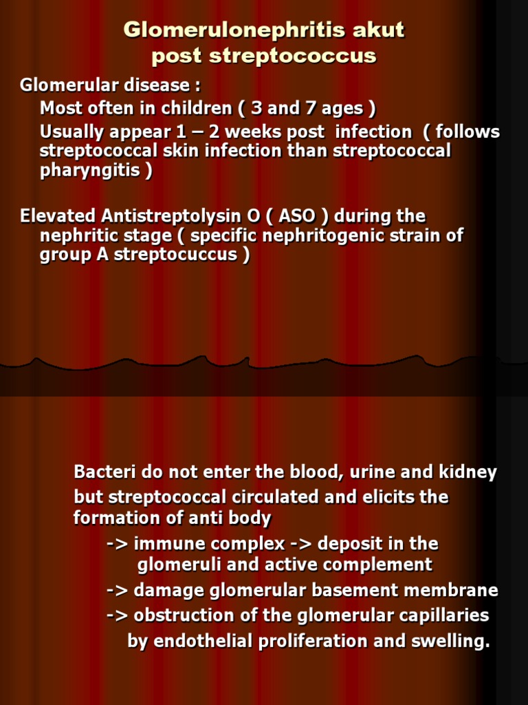 GNA and NS.ppt | Diseases And Disorders | Kidney