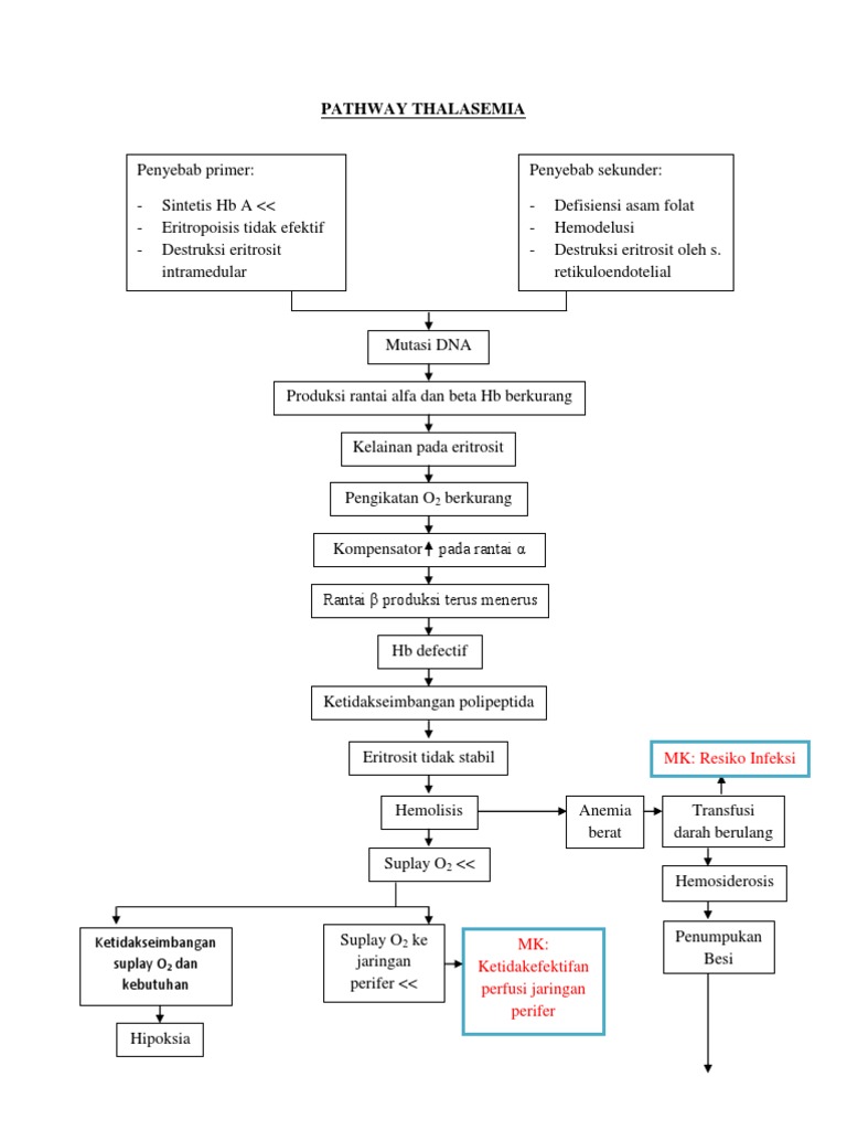 Pathway Thalasemia: Ketidakseimbangan suplay O dan kebutuhan