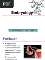Chapter 4 Tissue - The Living Fabric | PDF | Epithelium | Cartilage