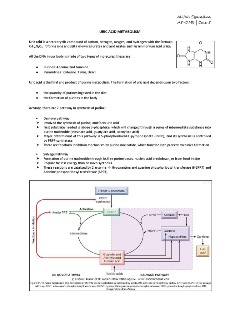 Uric Acid Metabolism | Nucleotides | Biosynthesis
