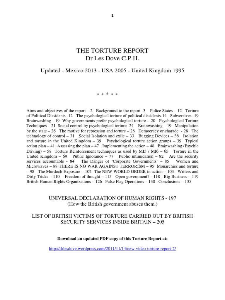 March The Torture Report Pdf Torture Mi5