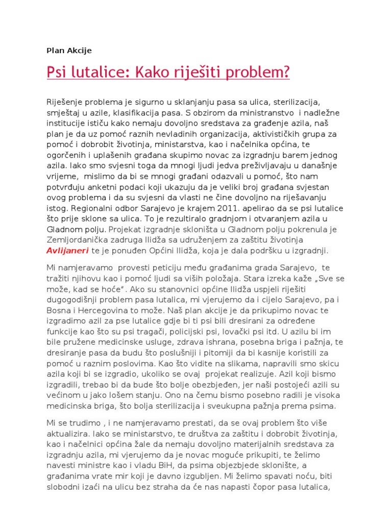 Plan Akcije | PDF