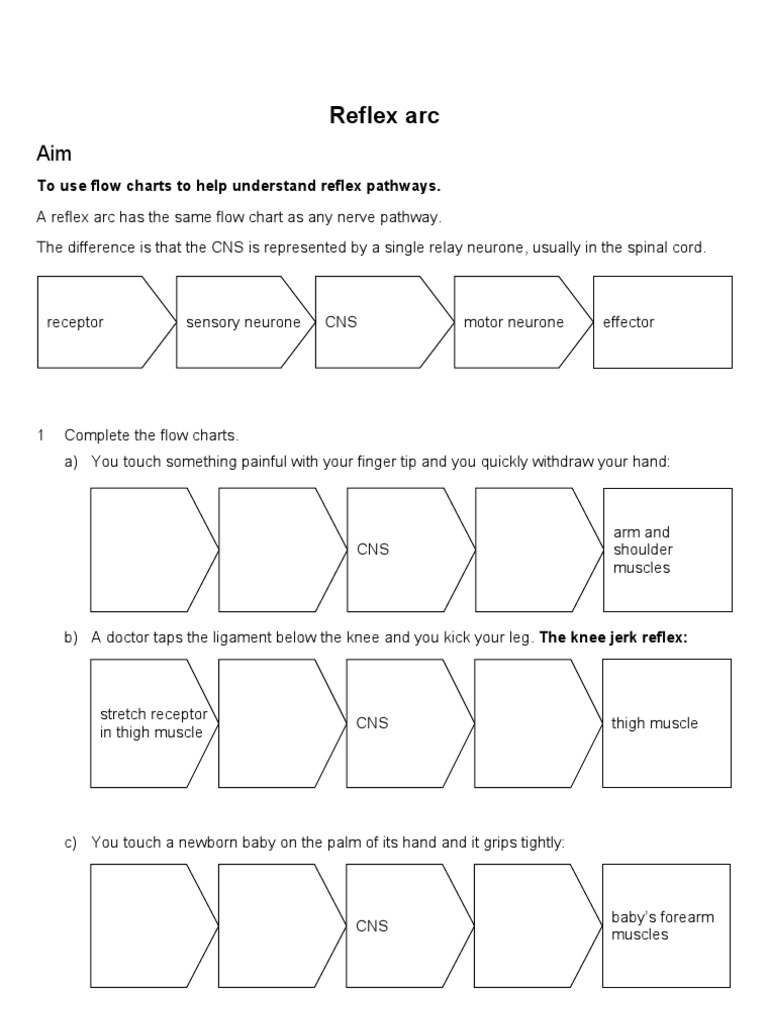 Understanding Reflex Pathways through Flow Charts: A Study of the ...
