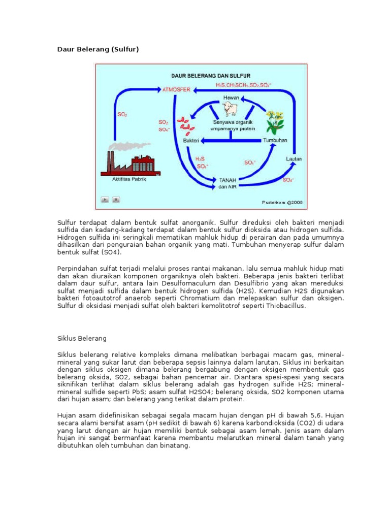 8 Siklus Belerang | PDF