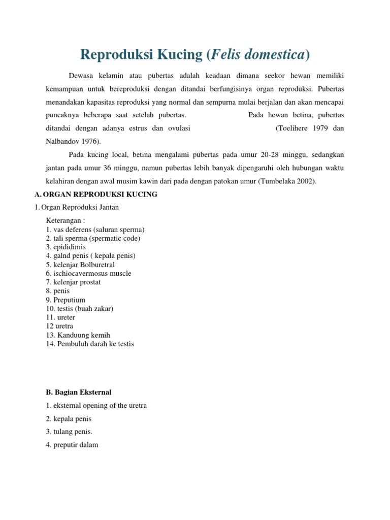 Reproduksi Kucing | PDF