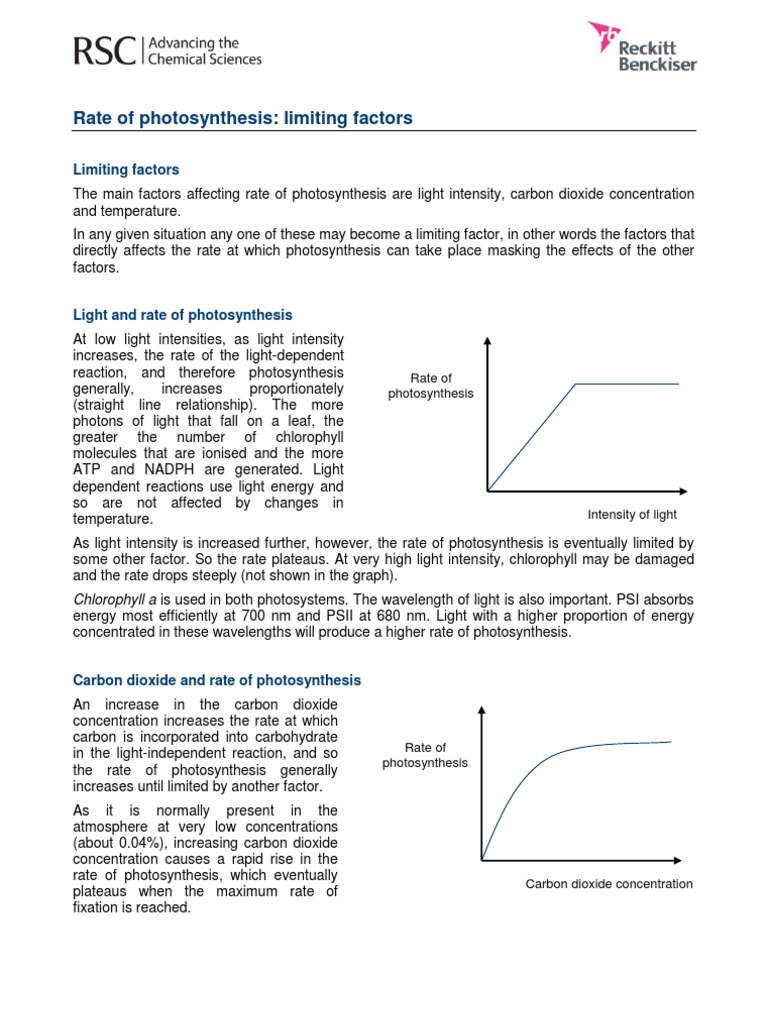 Rate of Photosynthesis Limiting Factors | PDF | Chlorophyll ...