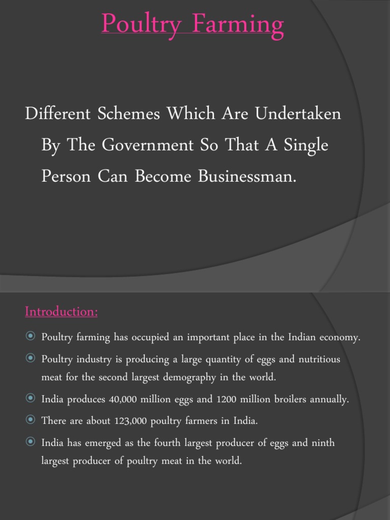 Poultry Farming | PDF | Poultry Farming | Poultry