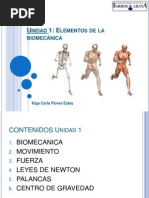 Motoneuronas Alfa y Gamma: Funciones y Características | PDF | Neurona ...
