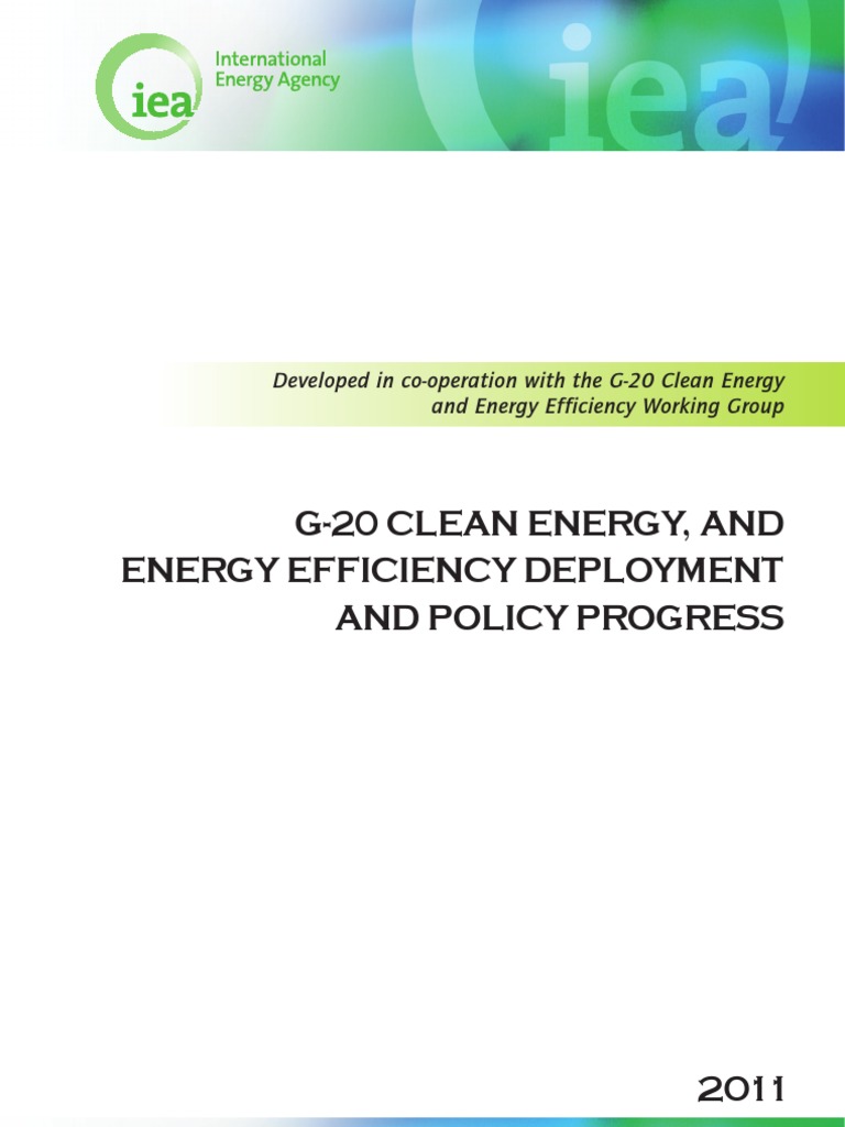G20 Paper | PDF | International Energy Agency | Efficient Energy Use