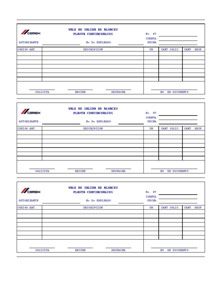 Formato Vale Manual | PDF