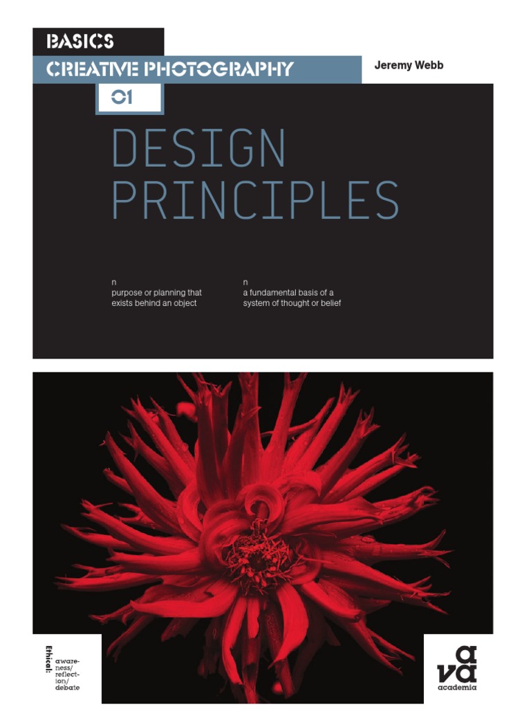 Design Principles | PDF | Composition (Visual Arts) | Design