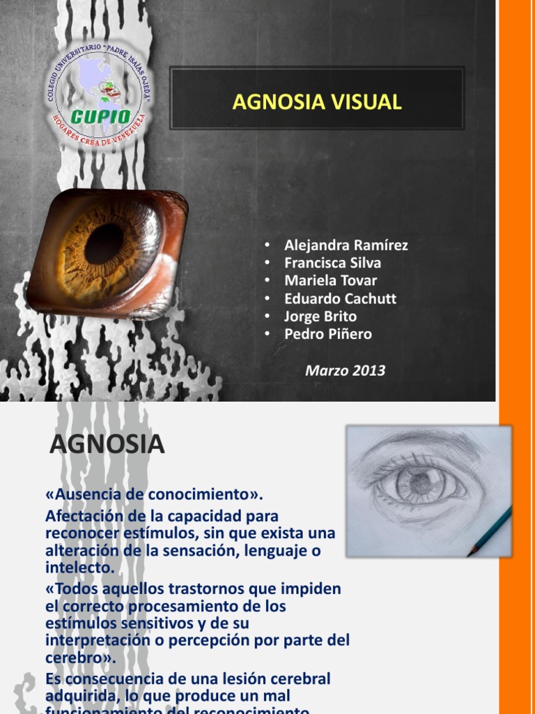 Agnosia Visual | PDF | Desórdenes neurológicos | Neurociencia