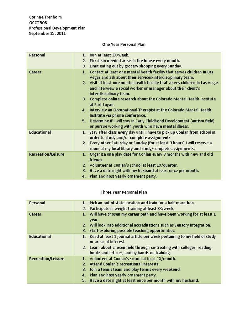 Professional Development Plan 508 | PDF | Health Care | Wellness