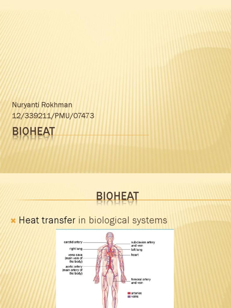 Bioheat Transfer in Biomedical Applications | PDF