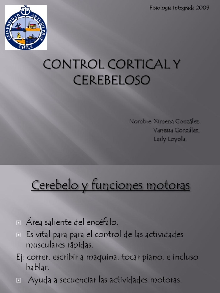 Control Cortical | PDF