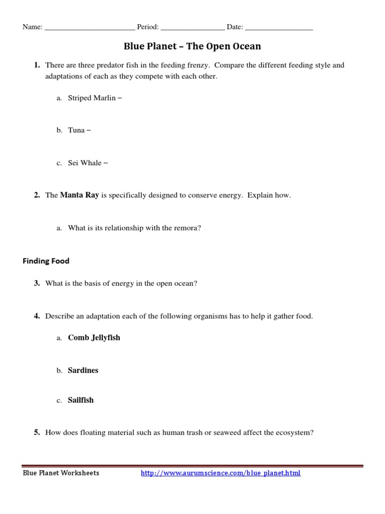 Blue Planet: Open Ocean Worksheet | PDF | Predation | Oceanography
