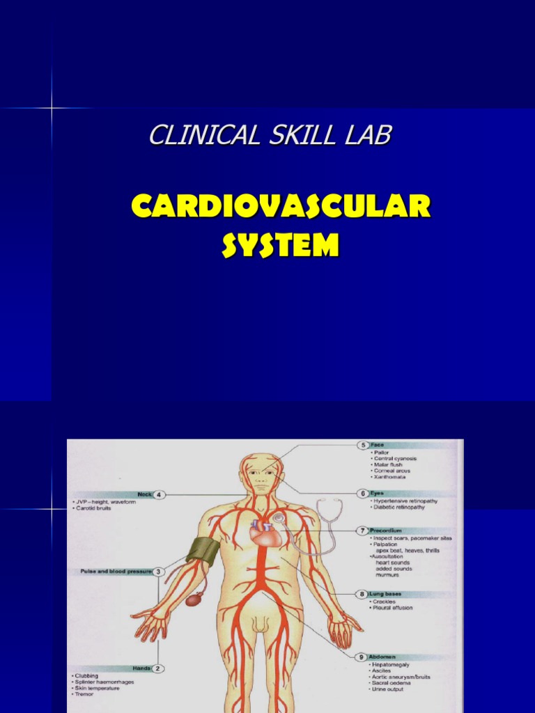 Clinical Skill Lab: Cardiovascular System | PDF | Electrocardiography ...