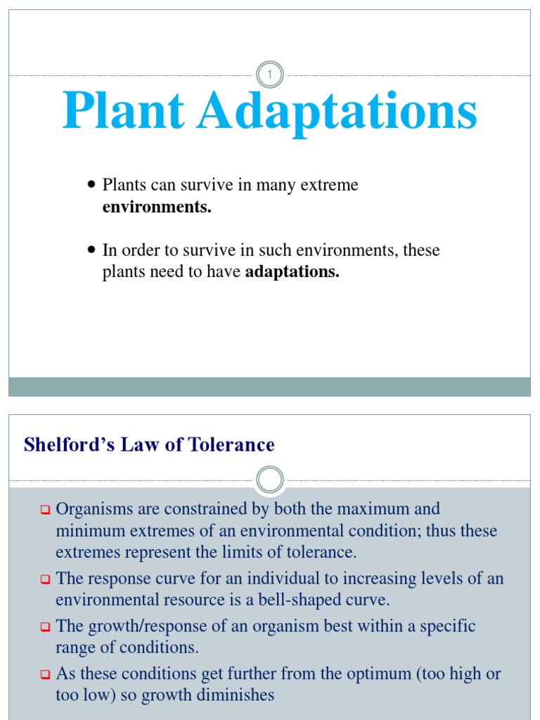 Plant Adaptations: Plants Can Survive in Many Extreme | PDF | Root | Stoma