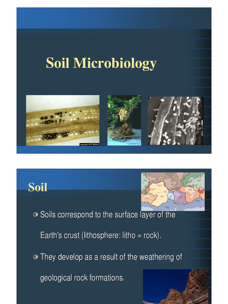 10 Soil Microbiology | PDF | Soil | Microorganism