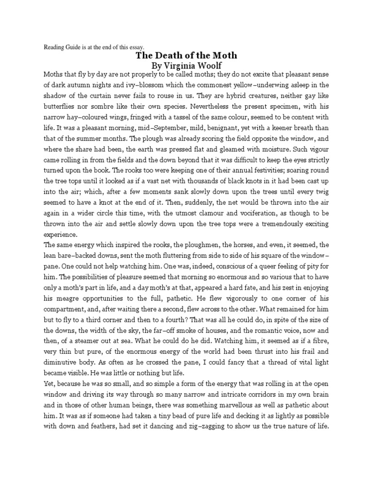 "The Death of the Moth" Analysis Guide | PDF | Essays | Metaphor