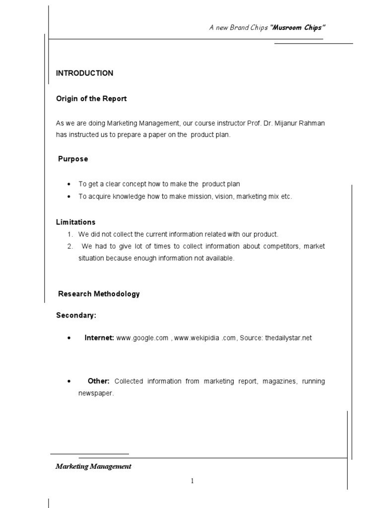 New Product Development Plan | PDF | Brand | Potato Chip