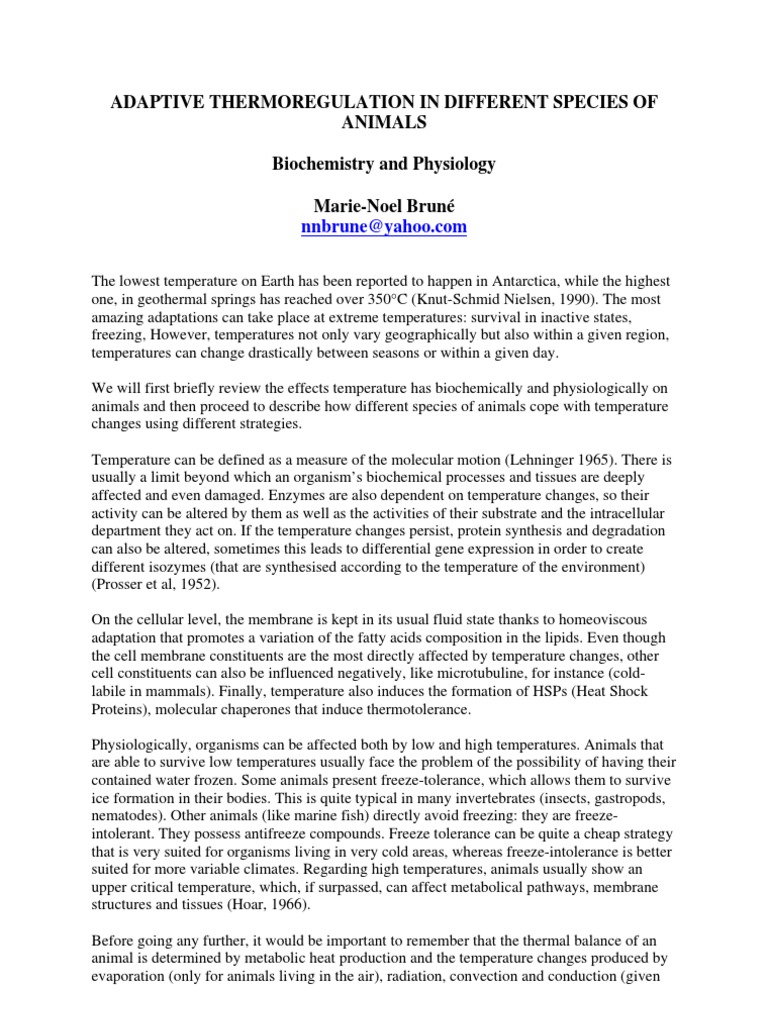 Strategies for Thermoregulation: How Different Species of Animals Adapt ...