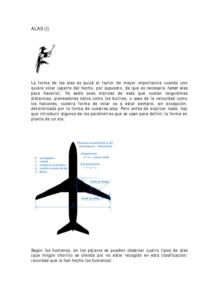 Formas de alas y su influencia en el vuelo | PDF