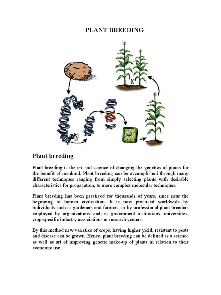 Plant Breeding | PDF | Plant Breeding | Genetic Engineering