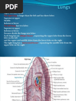 Spleen Percussion | PDF | Spleen | Clinical Medicine