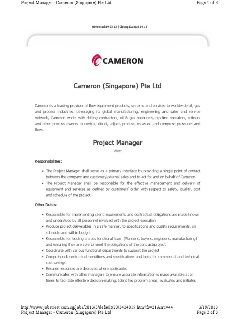 Cameron - Project Manager | PDF | Project Manager | Sales