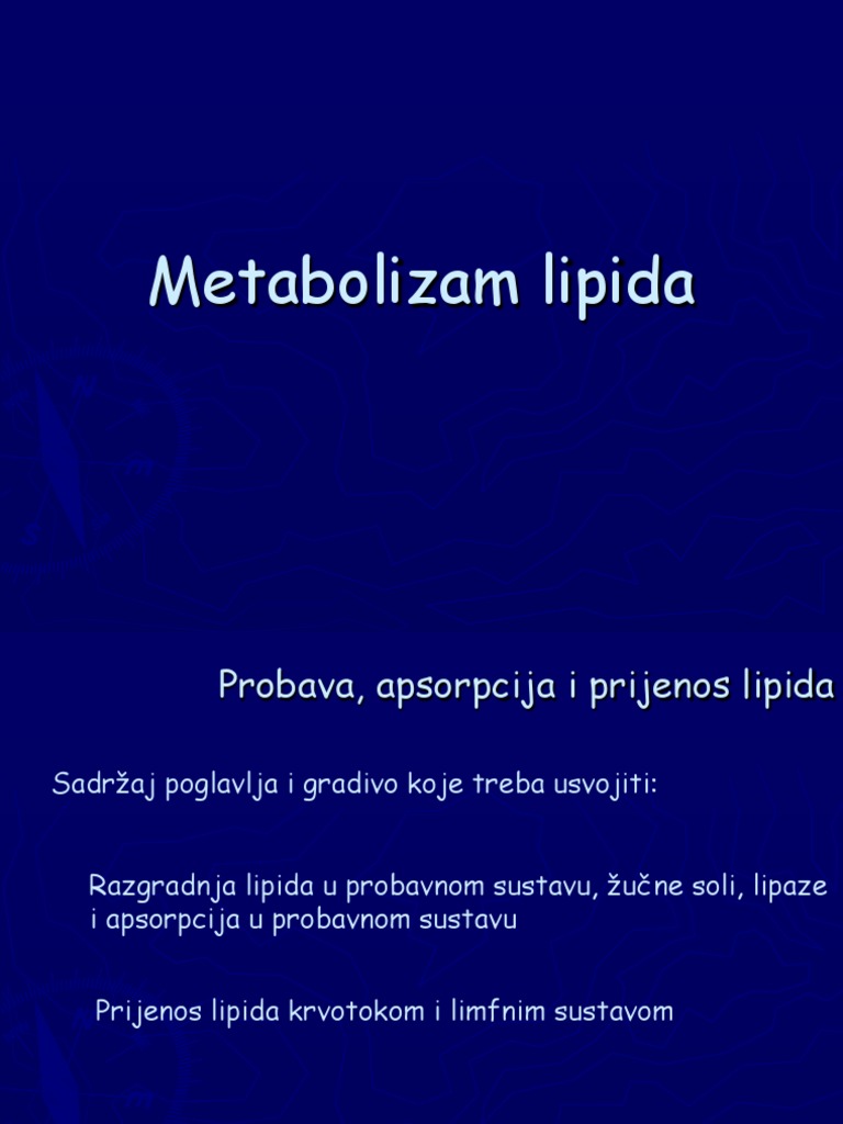 Metabolizam Lipida | PDF