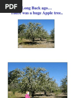 ASL Timber Story: The Deaf Tree | PDF