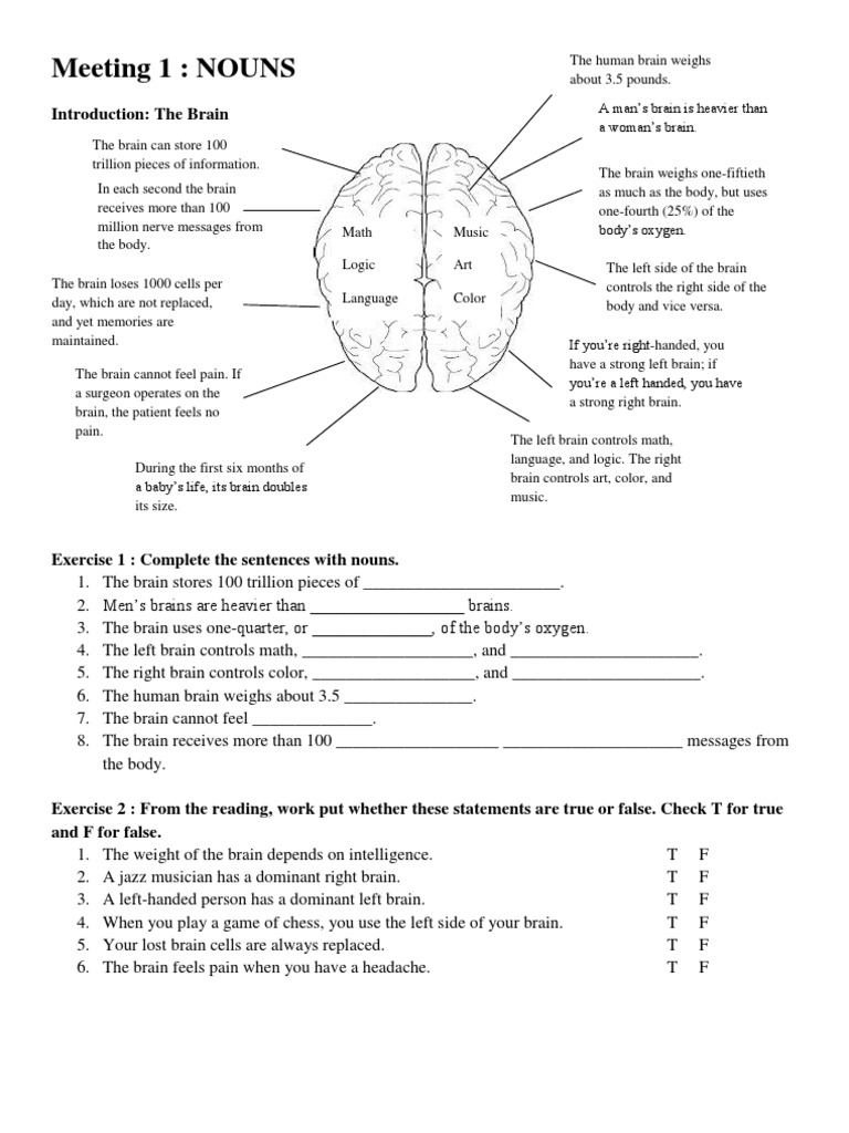 Meeting 1 - Nouns | PDF | Grammatical Number | Noun