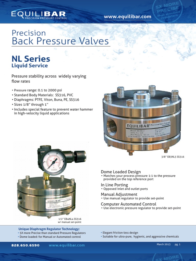NL Back Pressure Valve Brochure 032613 | PDF | Valve | Gas Technologies