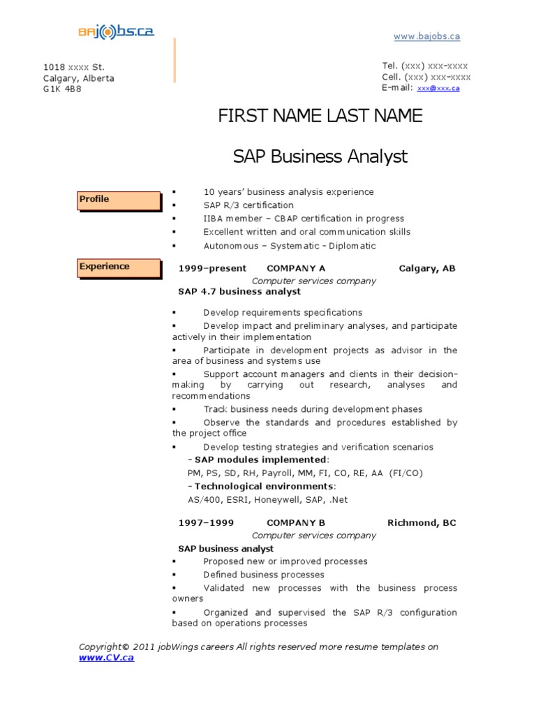 CV Business Analyst SAP | PDF | Sap Se | Business Analysis