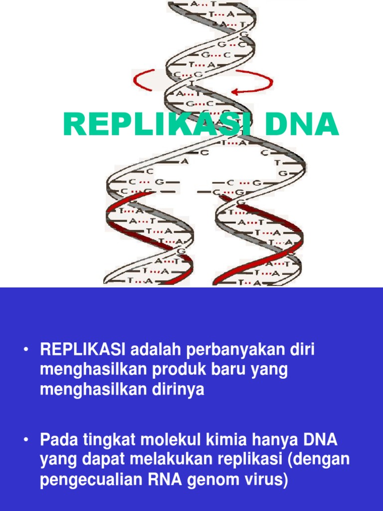 Replikasi Dna