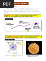 snc2d Test Review | PDF | Cell (Biology) | Cancer