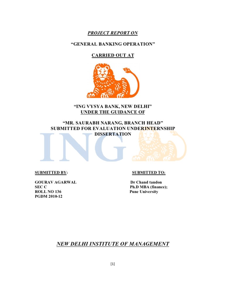 Ing Report | PDF | Transaction Account | Cheque