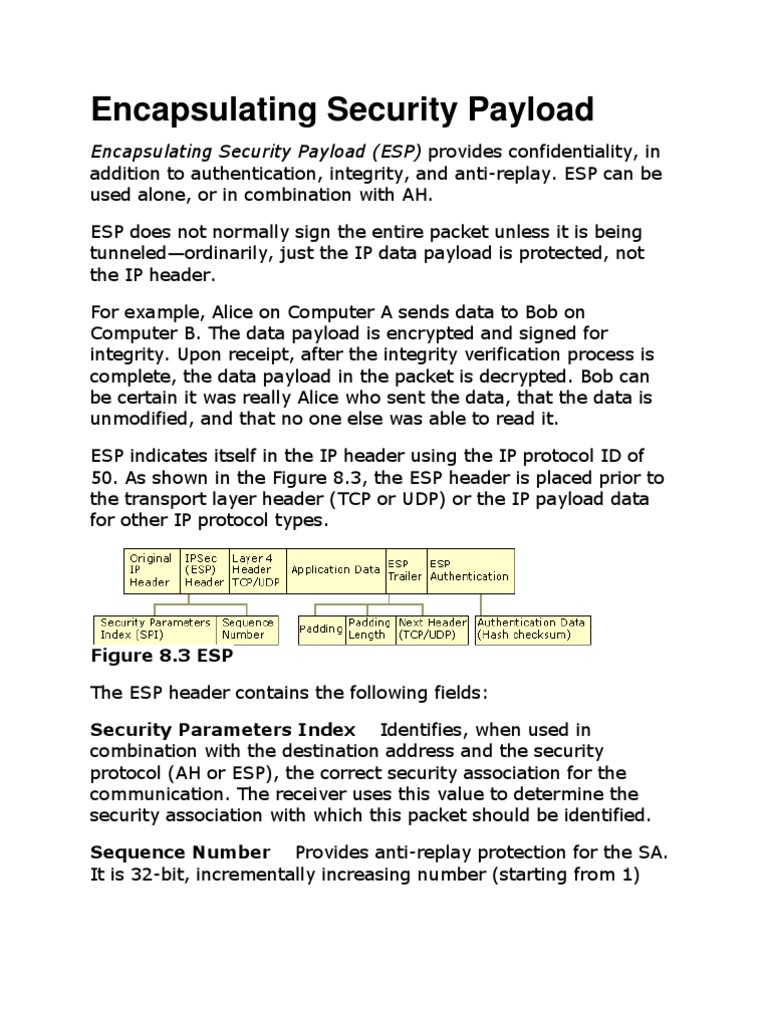 Encapsulating Security Payload Network Packet Internet Protocols 