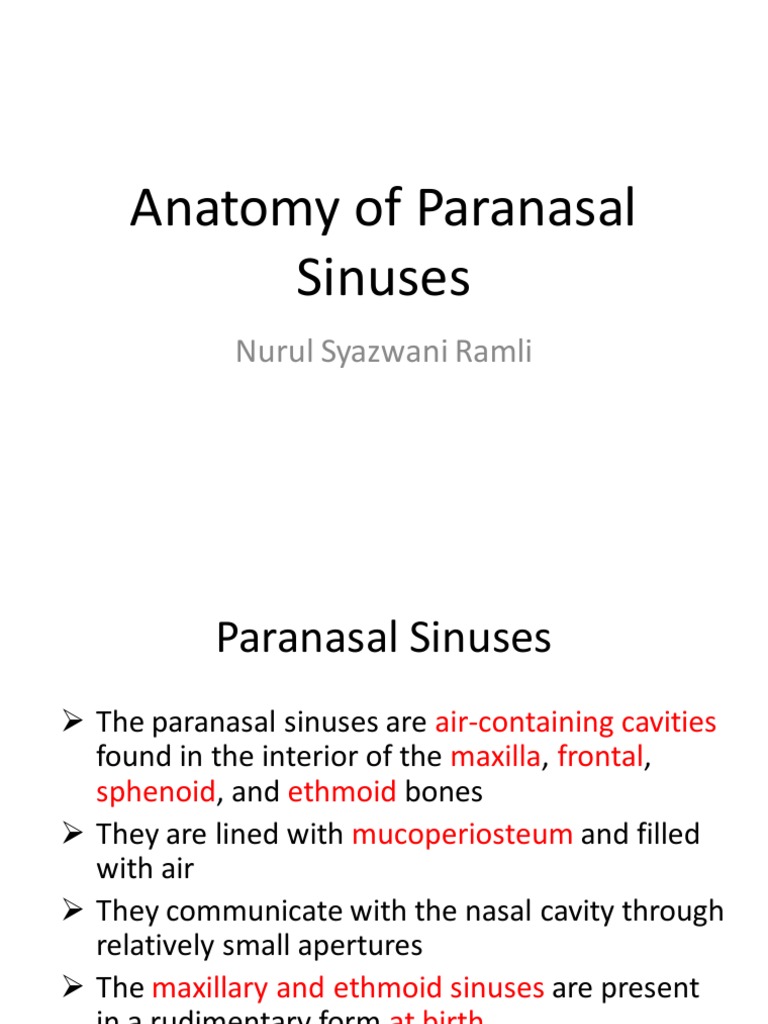 Anatomy of Paranasal Sinuses | PDF