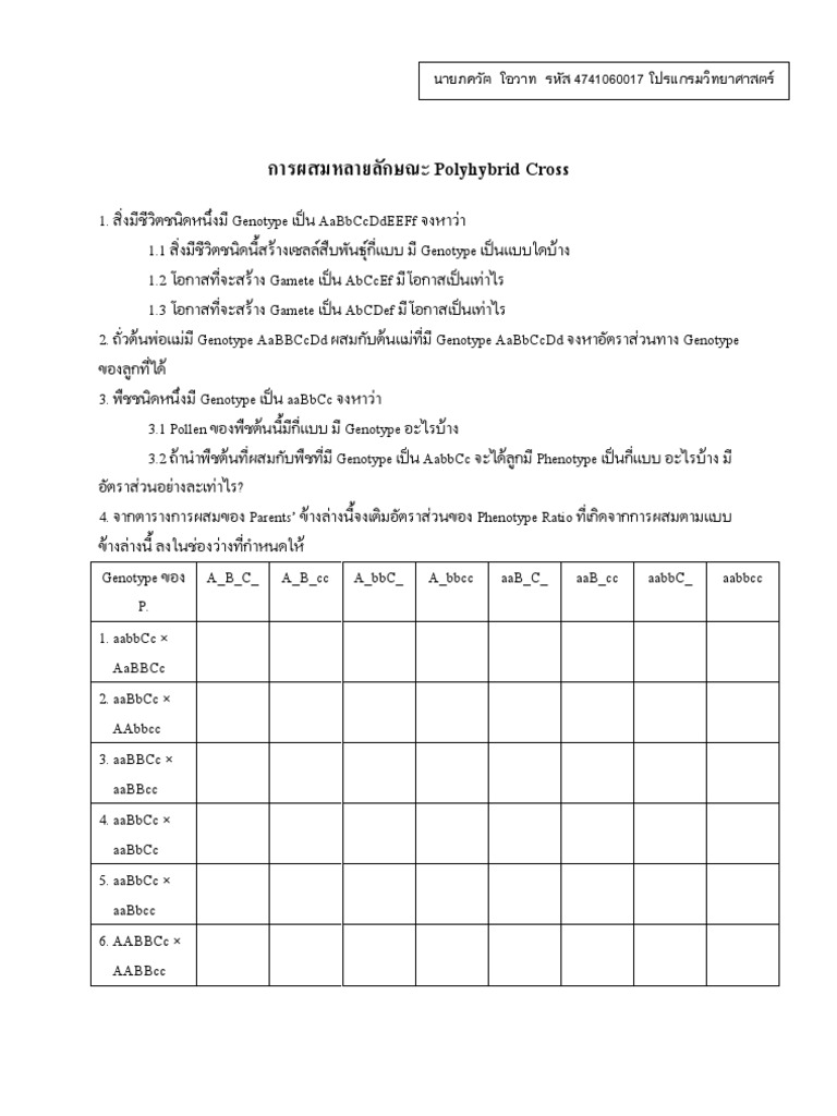 แบบฝึกหัดเรื่อง polyhybrid | PDF | Business