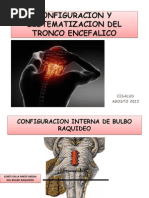 Conducto Ependimario | PDF | Sistema nervioso central | Anatomía humana
