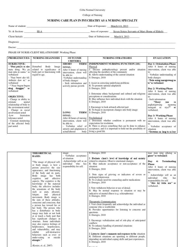 Nursing Care Plan for Disturbed Body Image | PDF | Affect (Psychology ...