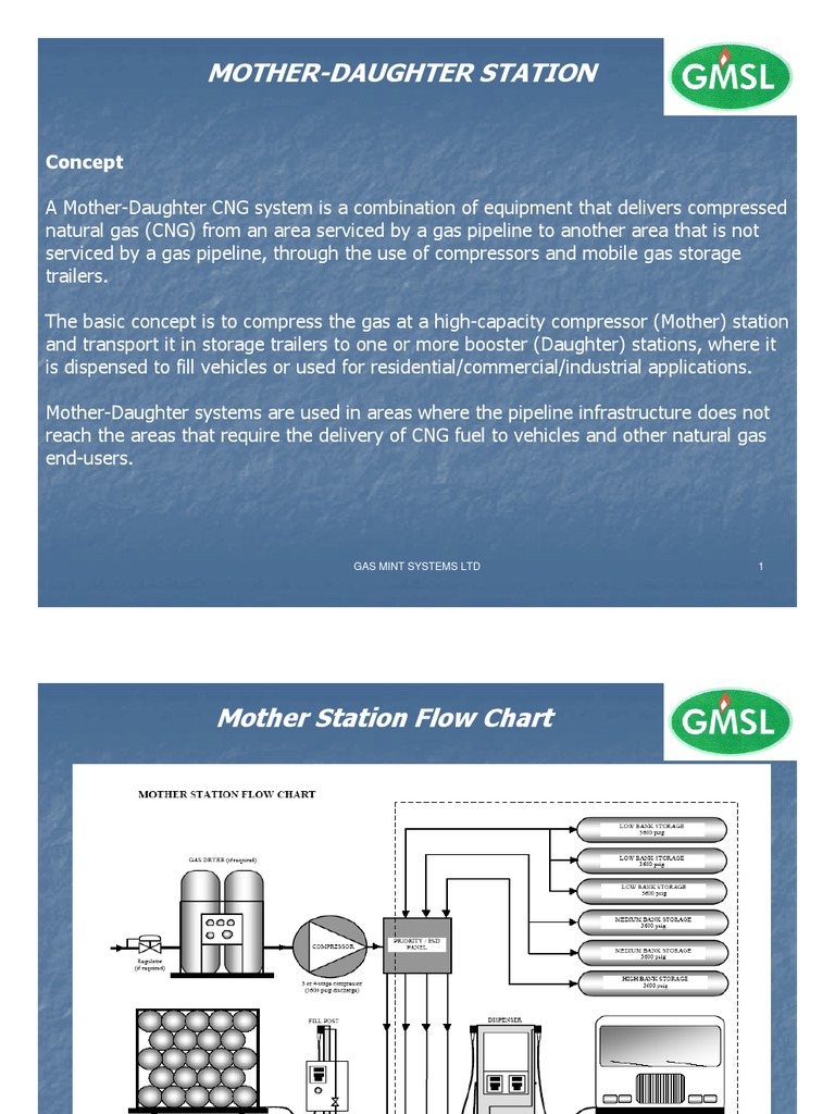 GMSL CNG Equipment | PDF | Gas Compressor | Natural Gas