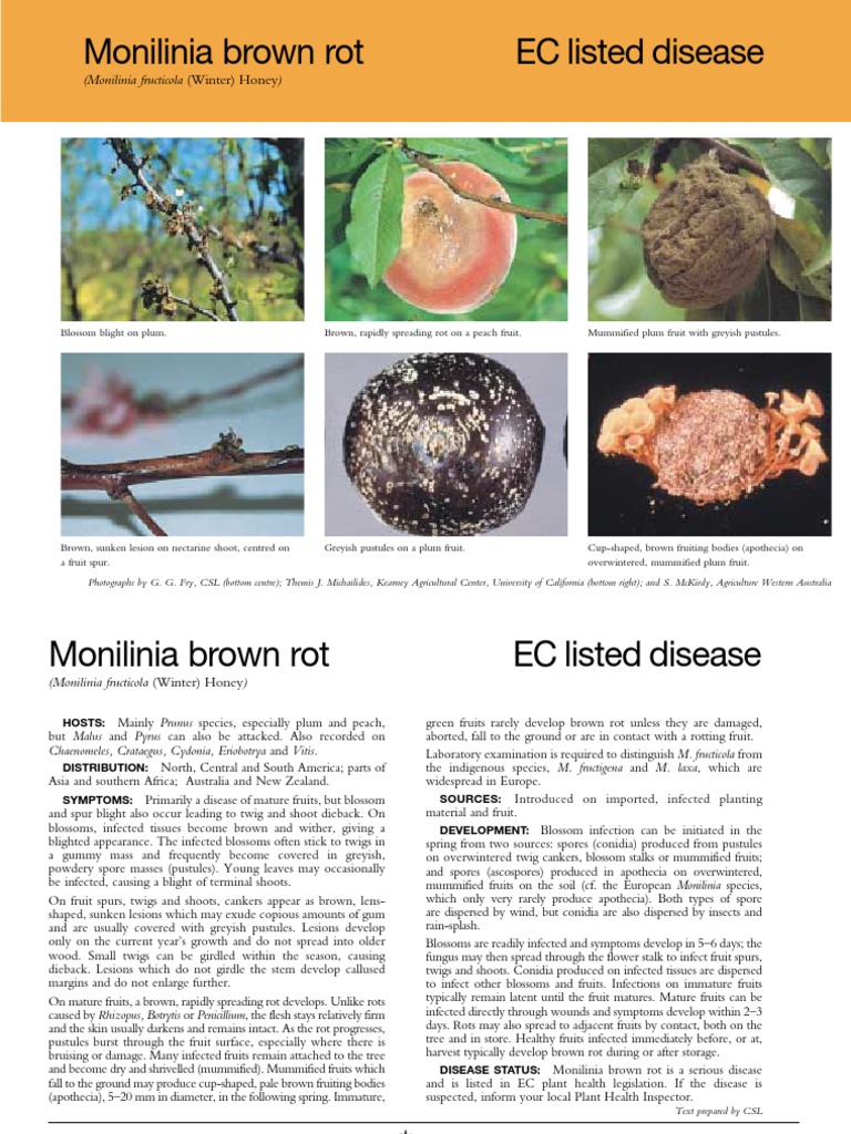 monilinia | Fungus | Plants