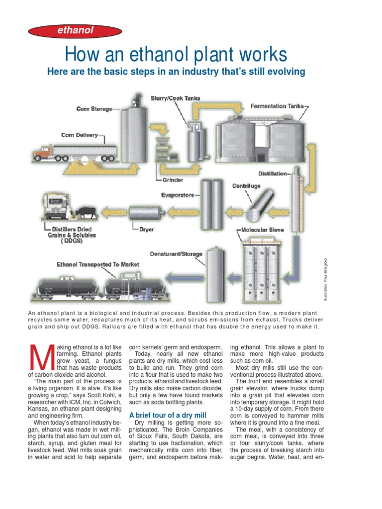 How An Ethanol Plant Works | PDF | Distillation | Ethanol