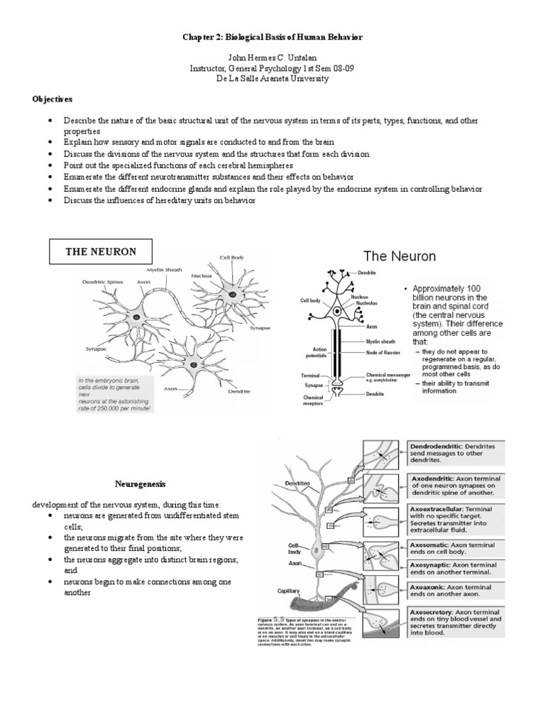 Biological Basis of Human Behavior | PDF | Central Nervous System ...