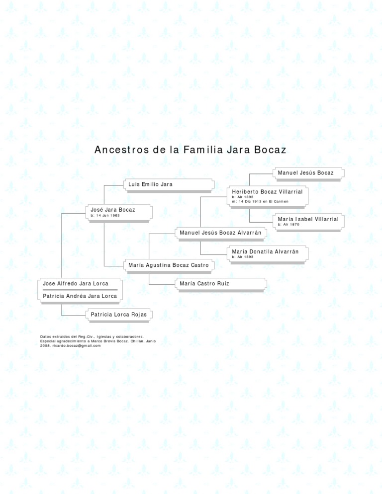 Jara Bocaz | PDF