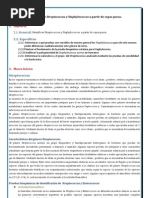 Optoquina 2,1 | PDF | Estreptococo | Microbiología